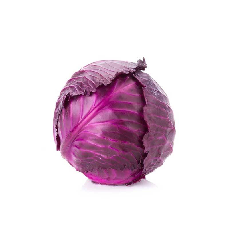 Choux rouge - fournicool